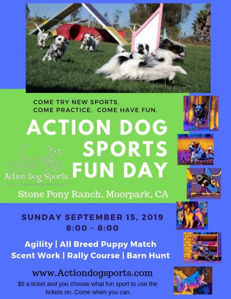 Sept Action Dog Sports Fun Day – Southern California Scent Work